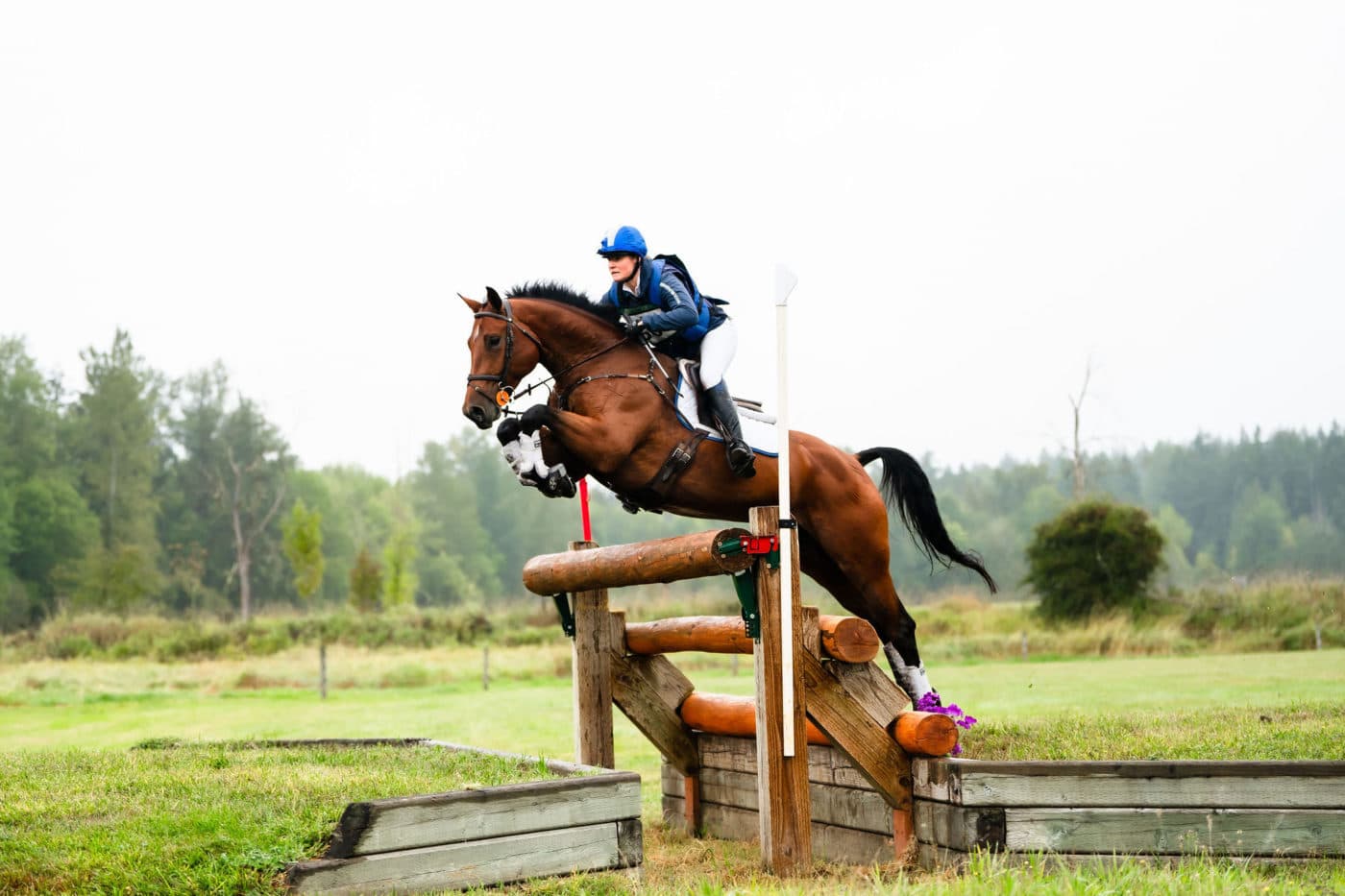 USEA | Producing Young Horses Has Jordán Linstedt-Granquist Excited…